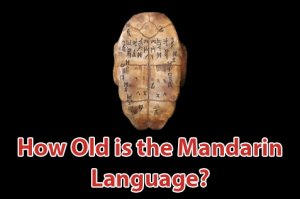 Mandarin Chinese Language| translations.co.uk