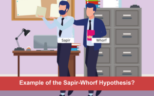 What is the Sapir Whorf Hypothesis? | translations.co.uk